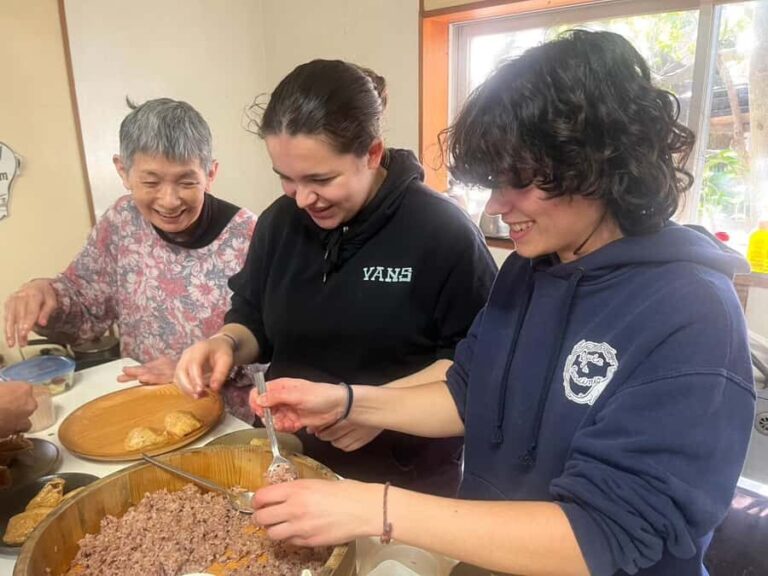 Aichi: Atsumi Peninsula, A Satoyama Cooking Experience - Exploring Atsumi Doronko Village: The Heart of the Experience