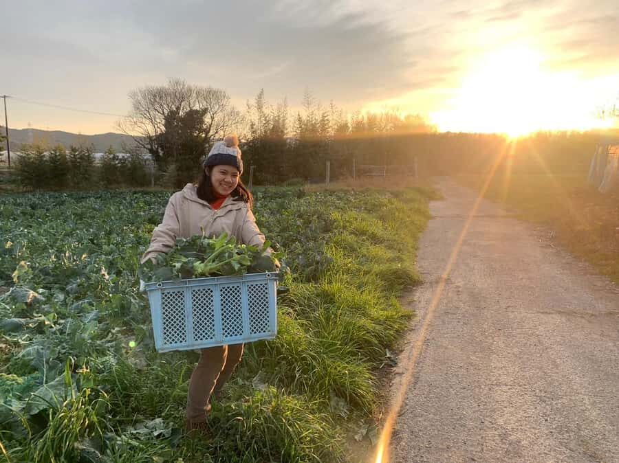 Aichi: Regenerative Farm Stay with Lunch at Doronko Village - What to Expect: Hands-On Farming & Cultural Learning