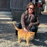 Ainoshima Island Cats Culture and Scenic Beauty Tour - Did We Find Value in the Price?