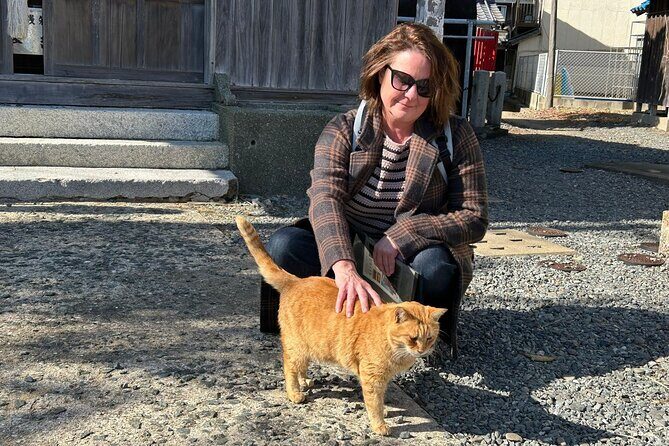 Ainoshima Island Cats Culture and Scenic Beauty Tour - Did We Find Value in the Price?