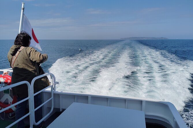 Ainoshima Island Private Cat Tour with Ferry Ride - Final Thoughts: Who Should Consider This Tour?