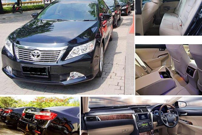 Airport Private Transfers from Montego Bay to Hilton Rose Hall - Benefits of Choosing This Service