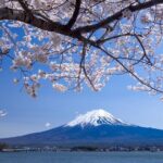 Airport transfer between Narita and Mount Fuji or Hakone Onsen - What’s Included and What’s Not?