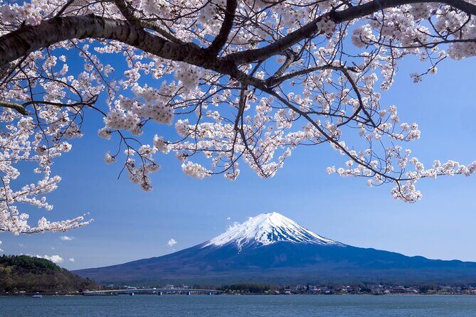 Airport transfer between Narita and Mount Fuji or Hakone Onsen - What’s Included and What’s Not?