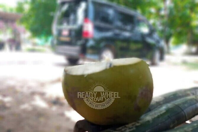 Airport Transfer To Falmouth Hotels from MBJ Airport - Who Is This Tour Best For?