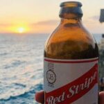 Airport Transfers to Runaway Bay Hotels (MBJ) - Why This Service Is a Good Value