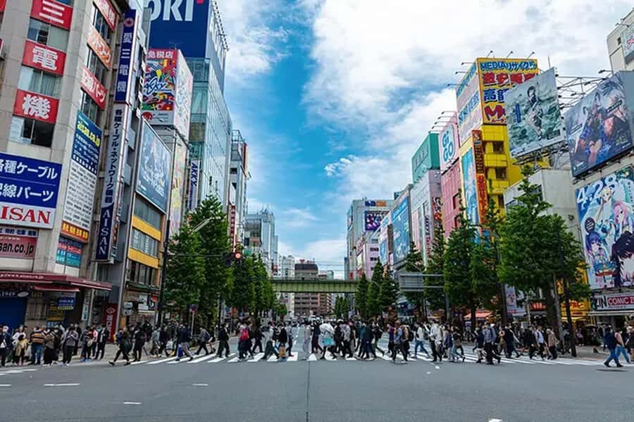 Akihabara: Kawaii and Moe Culture Guided Tour with Idol - Who’s Leading the Tour?