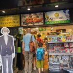Akihabara Maid Cafes and Anime Song Bar Visit with Japanese Otaku - The Itinerary: What You Can Expect