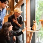 Akihabara Pop Culture and Relaxing Cat Café Tour with Local Guide - Key Points