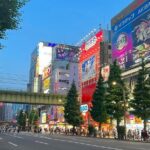 Akihabara Tour with Anime and Video Games Otaku Licensed Guide - FAQs
