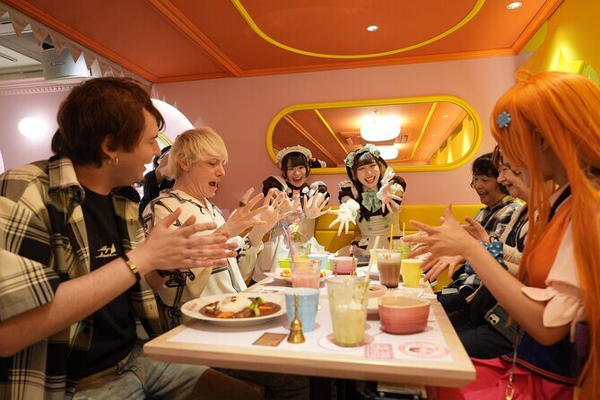 Akihabara Vacation Package by an interpreter guide and cosplayer - The Practicalities: What Travelers Should Know