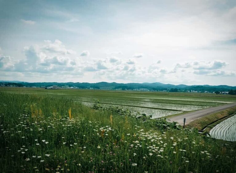 Akita: Kinmon Akita Sake Brewery Tour and Tasting - The Itinerary and Experience Breakdown