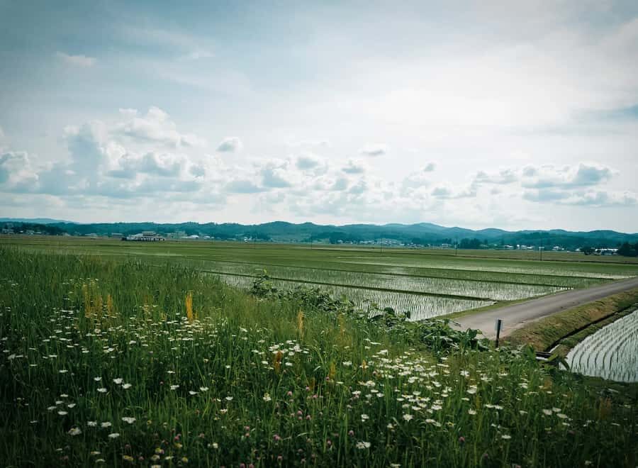 Akita: Kinmon Akita Sake Brewery Tour and Tasting - The Itinerary and Experience Breakdown