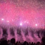 Akita:Omagari Fireworks Festival -Spring- Seat & Guide - Who Should Consider This Tour?