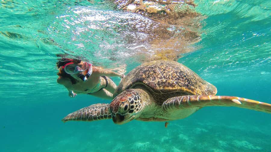 Akumal Reef & Turtle Swim - The Itinerary in Detail