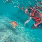 Akumal: Sea Turtles Snorkeling Tour with Park Entry Fee - Final Thoughts: Who Should Consider This Tour?