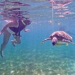 Akumal; Snorkeling and Photos with Turtles - Itinerary Breakdown: Step by Step