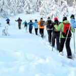 Albuquerque: Sandia Peak Snowshoe Tour with Tram Ride - What’s Included and How It Works