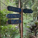 aling-aling waterfalls:medium trek - The Waterfalls and Blue Lagoon