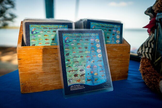 All-Day Paddleboard Rental  Fajardo, Puerto Rico - What’s Included & What To Bring