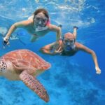 All Include Snorkeling at Menjangan Island - Who Should Consider This Tour?