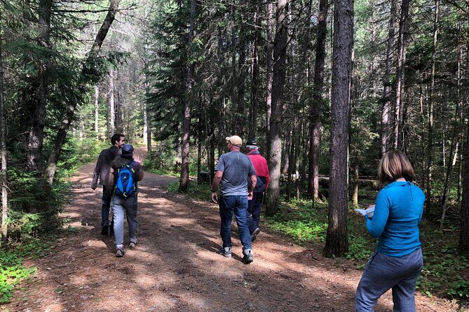 All-Inclusive Camp & Tube At Elora Gorge (2 Day) - Who Should Consider This Tour?