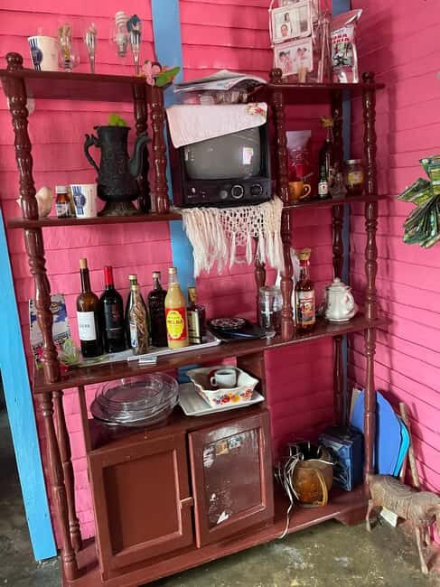 All-Inclusive Day Trip from Punta Cana: DR Culture Immersion - What Do Travelers Say?