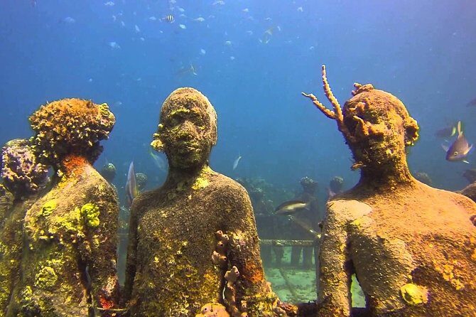 ALL INCLUSIVE Full Day snorkeling & sunset cruise with boat dogs - Who Should Consider This Tour?