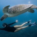 All Inclusive Nusa Penida Snorkeling Tour with Visit West Island - Why This Tour Offers Good Value