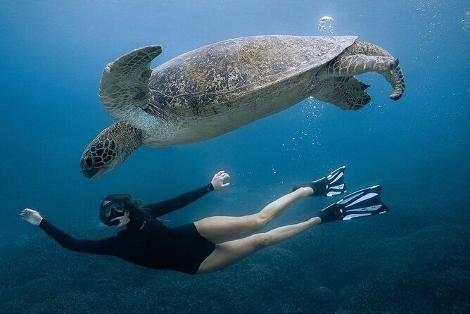 All Inclusive Nusa Penida Snorkeling Tour with Visit West Island - Why This Tour Offers Good Value