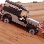 All inclusive Overnight Osian Desert Stay and Jodhpur Highlights - Who Will Love This Tour?