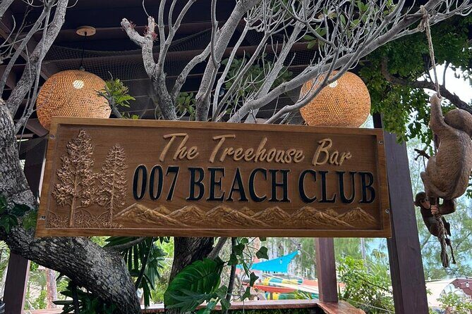 All Inclusive Pig Encounter, Snorkeling, Turtles, Lunch & Beach - What’s Included and What to Keep in Mind