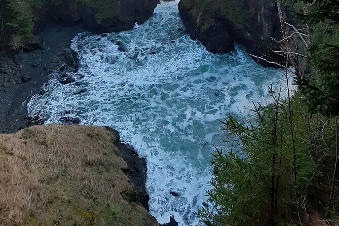 All Inclusive Private Coastal Road Trip from Washington to Oregon - What Sets This Tour Apart?