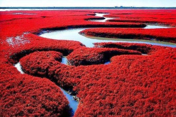 All-Inclusive Private Day Tour to Red Beach in Panjin City - What You Can Expect from This Tour