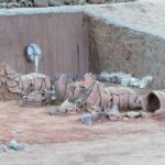 All Inclusive Private Guided Half-day Tour to the Terra Cotta Warriors Museum - Analyzing the Value