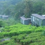 All Inclusive - Private Overnight Rain forest adventure in Sinharaja - The Value Proposition