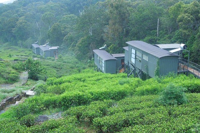 All Inclusive - Private Overnight Rain forest adventure in Sinharaja - The Value Proposition