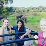 All Inclusive Safari at Minneriya National Park from Polonnaruwa - Who Should Consider This Tour?