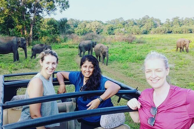 All Inclusive Safari at Minneriya National Park from Polonnaruwa - Who Should Consider This Tour?