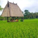 All-Inclusive Ubud Private Tour with Hotel Transfer - A Detailed Breakdown of What to Expect