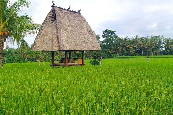 All-Inclusive Ubud Private Tour with Hotel Transfer - A Detailed Breakdown of What to Expect