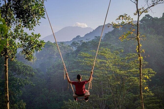 All Inclusives Bali Private Tour Temples Palaces and Nature - Who Should Consider This Tour?