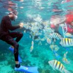 All Resorts: Ricks Cafe Sunset Catamaran Cruise - A Full Breakdown of the Experience