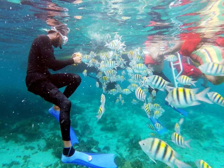 All Resorts: Ricks Cafe Sunset Catamaran Cruise - A Full Breakdown of the Experience