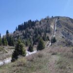 Almaty: Hiking the Japanese Road and Wild Hunting Birds Show - The Itinerary in Detail