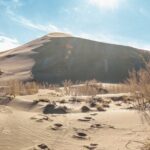 Almaty to Altyn-Emel National Park Private Tour - The Sum Up