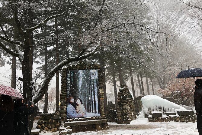 Alpaca, Nami, Eobi with Rail Bike or Strawberry - Final Thoughts: Who Should Consider This Tour?