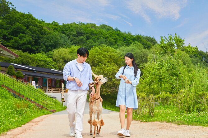 Alpaca World with Gangchon Rail Park One Day Tour - Who Should Consider This Tour?