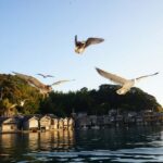 Amanohashidate & Ine Bay Tour With English Speaking Driver - Visiting Chionji Temple: A Spiritual Stop