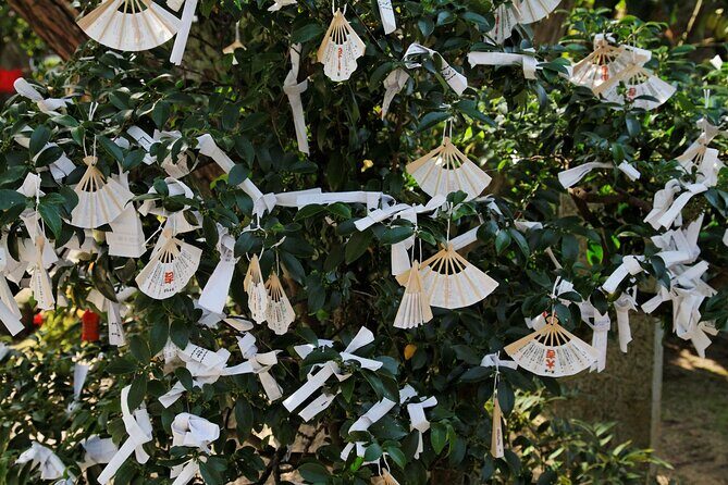 Amanohashidate & Ine Private Tour from Kyoto with English Driver - A Closer Look at the Tour Experience